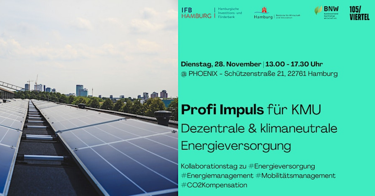Profi Impuls – dezentrale & klimaneutrale Energieversorgung | Startup ...